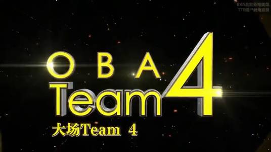 AKB48 team4_百度百科