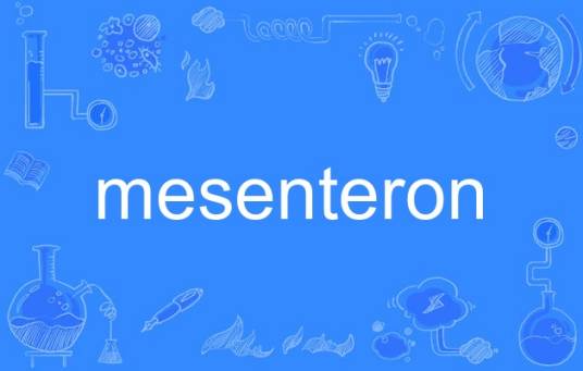 mesenteron_百度百科