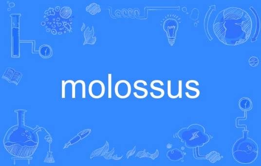 molossus_百度百科