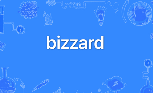 bizzard_百度百科