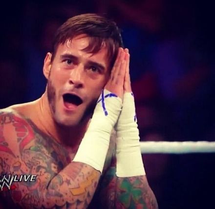 CM Punk_百度百科