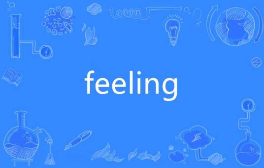 feeling（英语单词）_百度百科