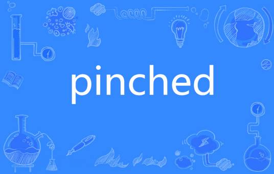 Pinched（英语单词）_百度百科