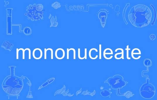mononucleate_百度百科