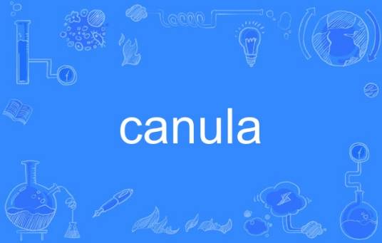 canula_百度百科