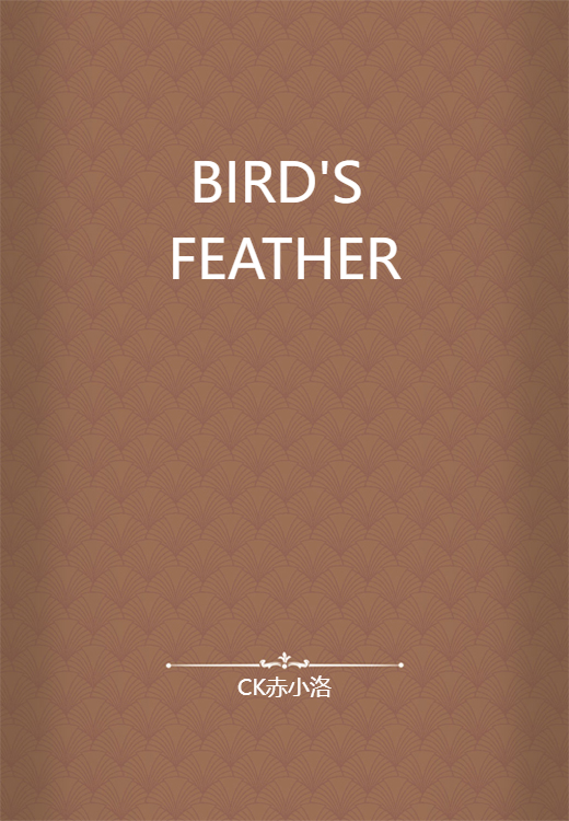 BIRD'S FEATHER_百度百科