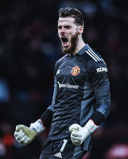 大卫·德赫亚_百度百科