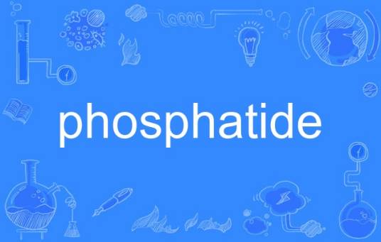 phosphatide_百度百科