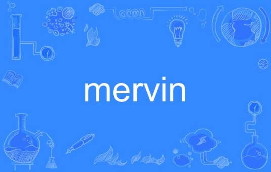 mervin_百度百科