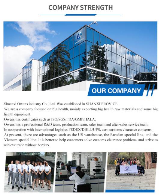 SoftIce_百度百科