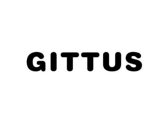 GITTUS_百度百科