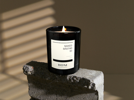 HONI EXPERIENCE_百度百科