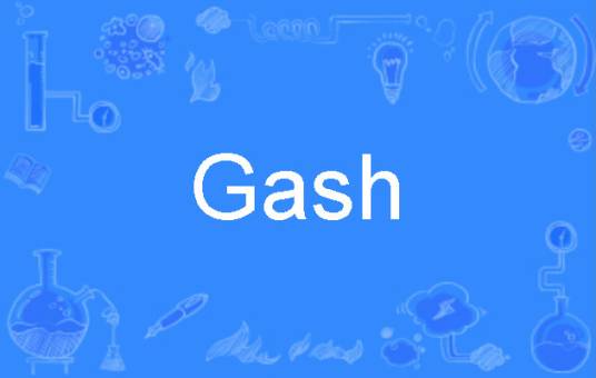 Gash_百度百科