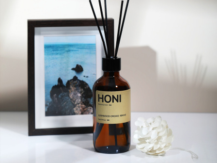 HONI EXPERIENCE_百度百科