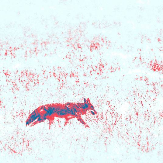 The Wilderness（2019年Mitch Froemming演唱的歌曲）_百度百科