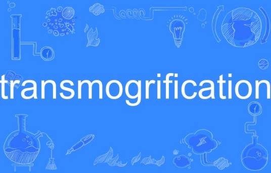 transmogrification_百度百科