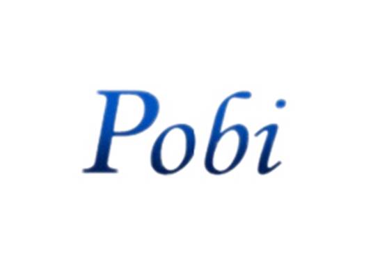 POBI_百度百科