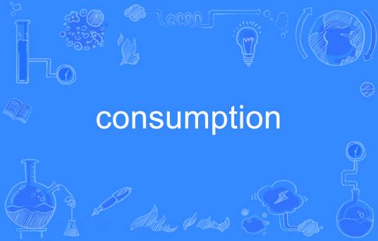consumption_百度百科
