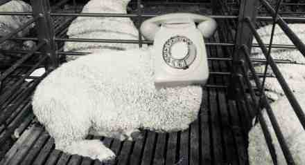 SCP-1498_百度百科