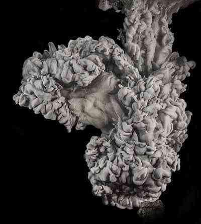 Kim Keever_百度百科