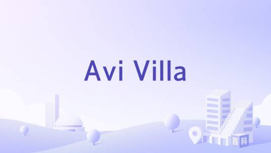 Avi Villa_百度百科