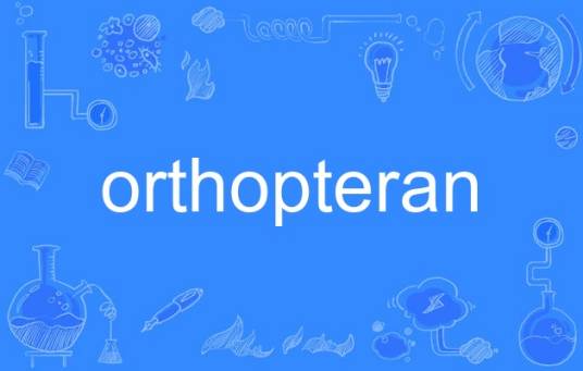 orthopteran_百度百科