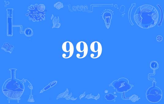 999（网络流行用语）_百度百科