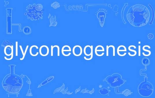 glyconeogenesis_百度百科