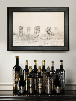 stefano ricci_百度百科