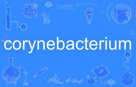 corynebacterium_百度百科