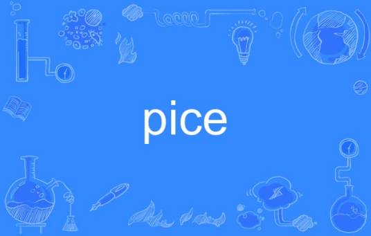pice_百度百科