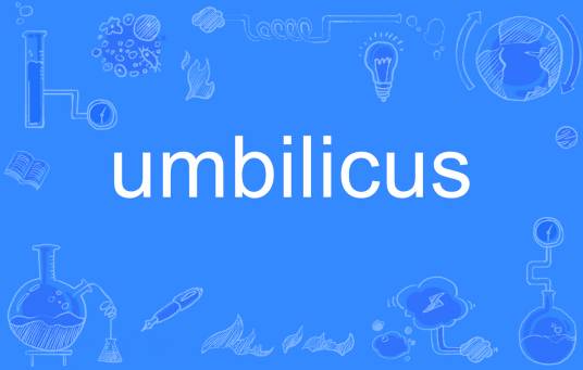 umbilicus_百度百科