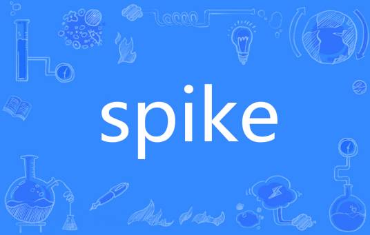 SPIKE（英语单词）_百度百科