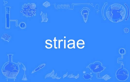 striae_百度百科