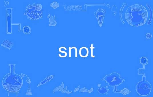 Snot_百度百科