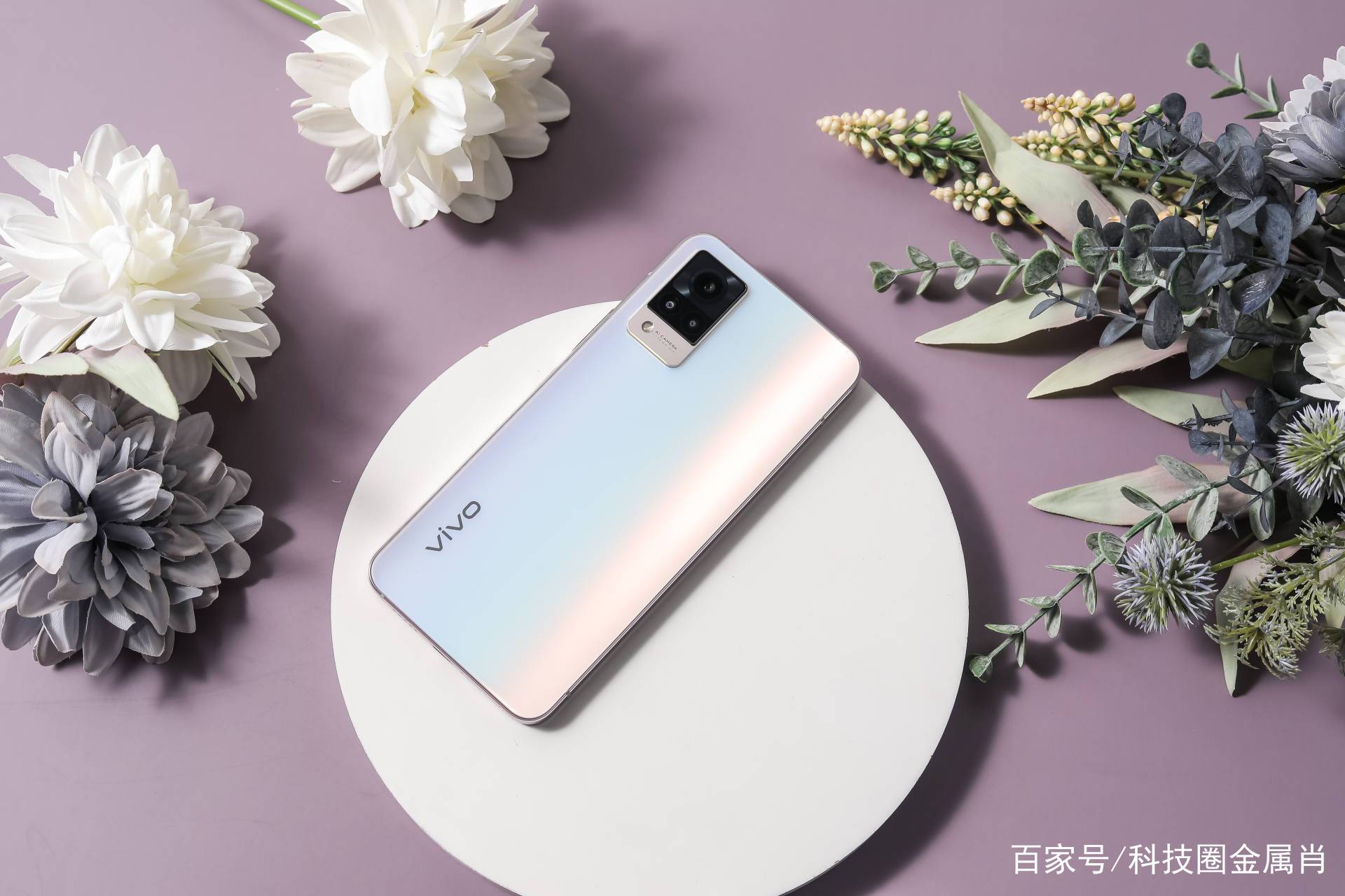 前置双摄+3D五重超质感美颜，vivo S9自拍效果出色_百科TA说