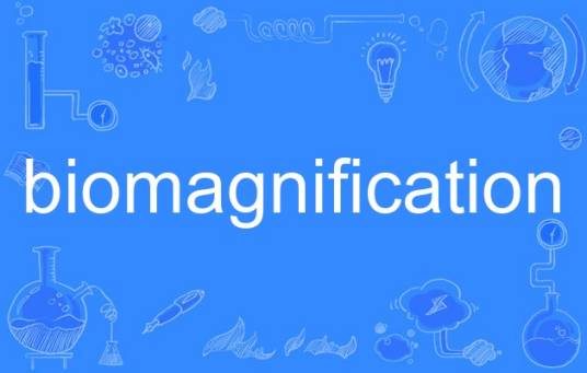 biomagnification_百度百科