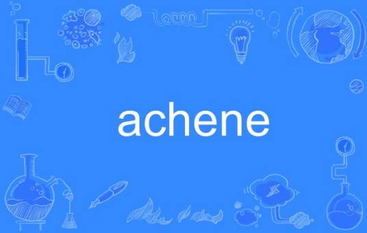 achene_百度百科