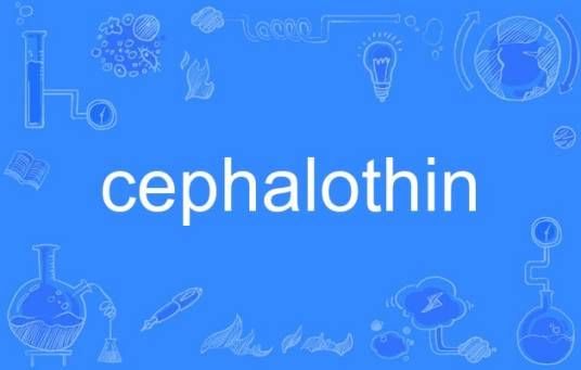 cephalothin_百度百科