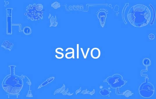 salvo（英语单词）_百度百科
