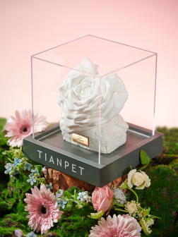 TIANPET_百度百科