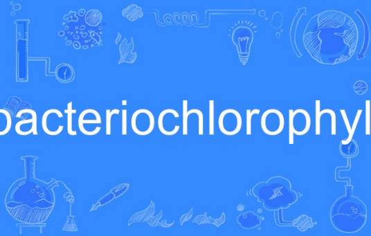 bacteriochlorophyll_百度百科