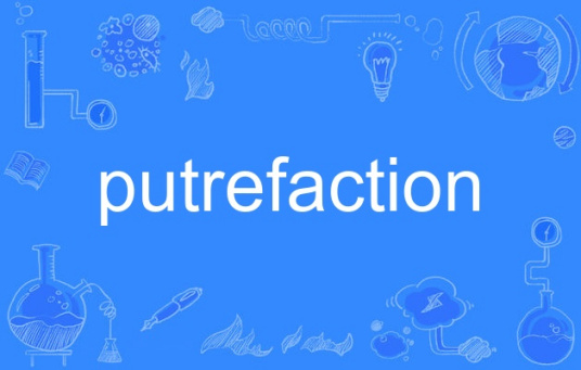 putrefaction_百度百科