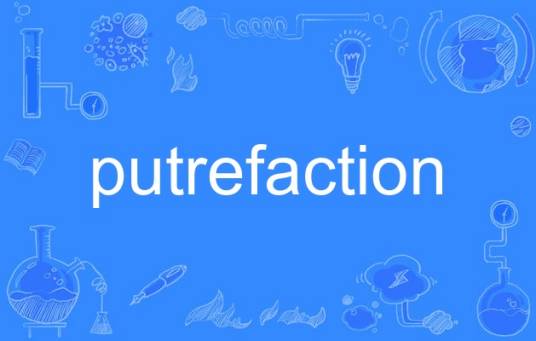 putrefaction_百度百科