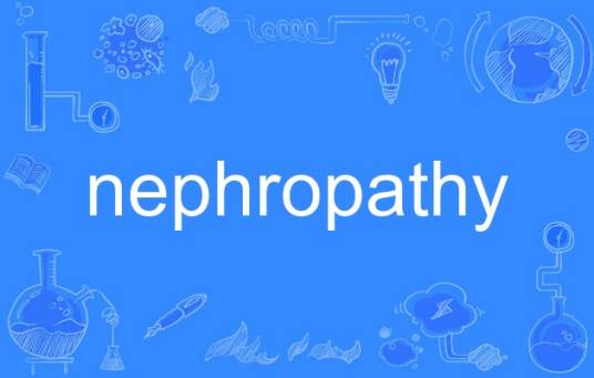 nephropathy_百度百科