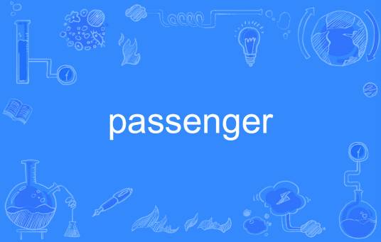 Passenger（英语单词）_百度百科