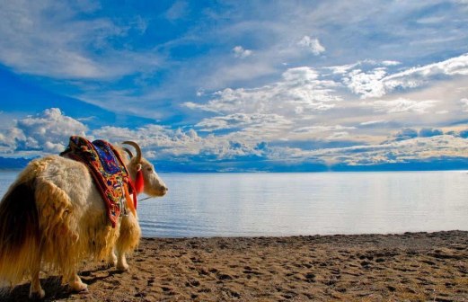 布托湖_百度百科