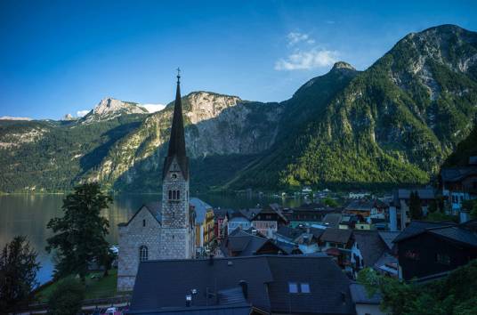 塔特鼠属_百度百科