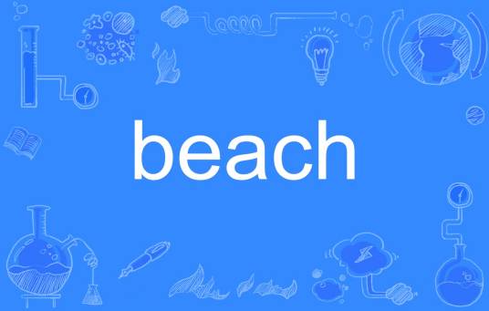 beach_百度百科