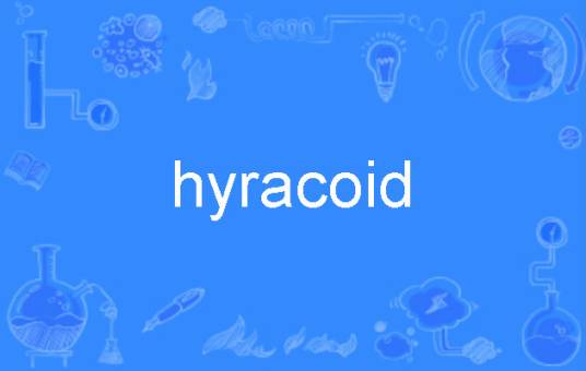 hyracoid_百度百科